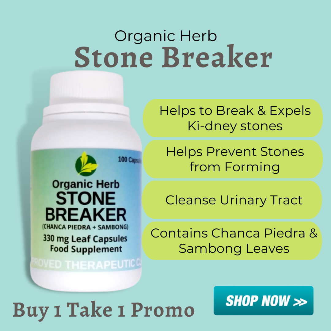 Organic Herb Stone Breaker 330mg x 100's (BUY 1 TAKE 1) – Organic ...