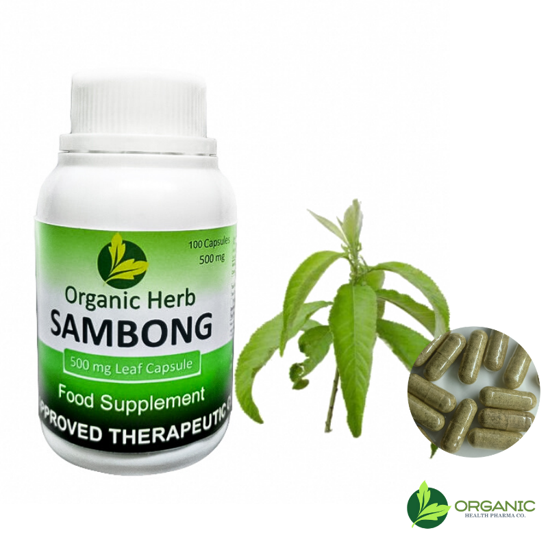 Sambong 500mg 100 Caps (Organic Herb) – Organic Health Pharma